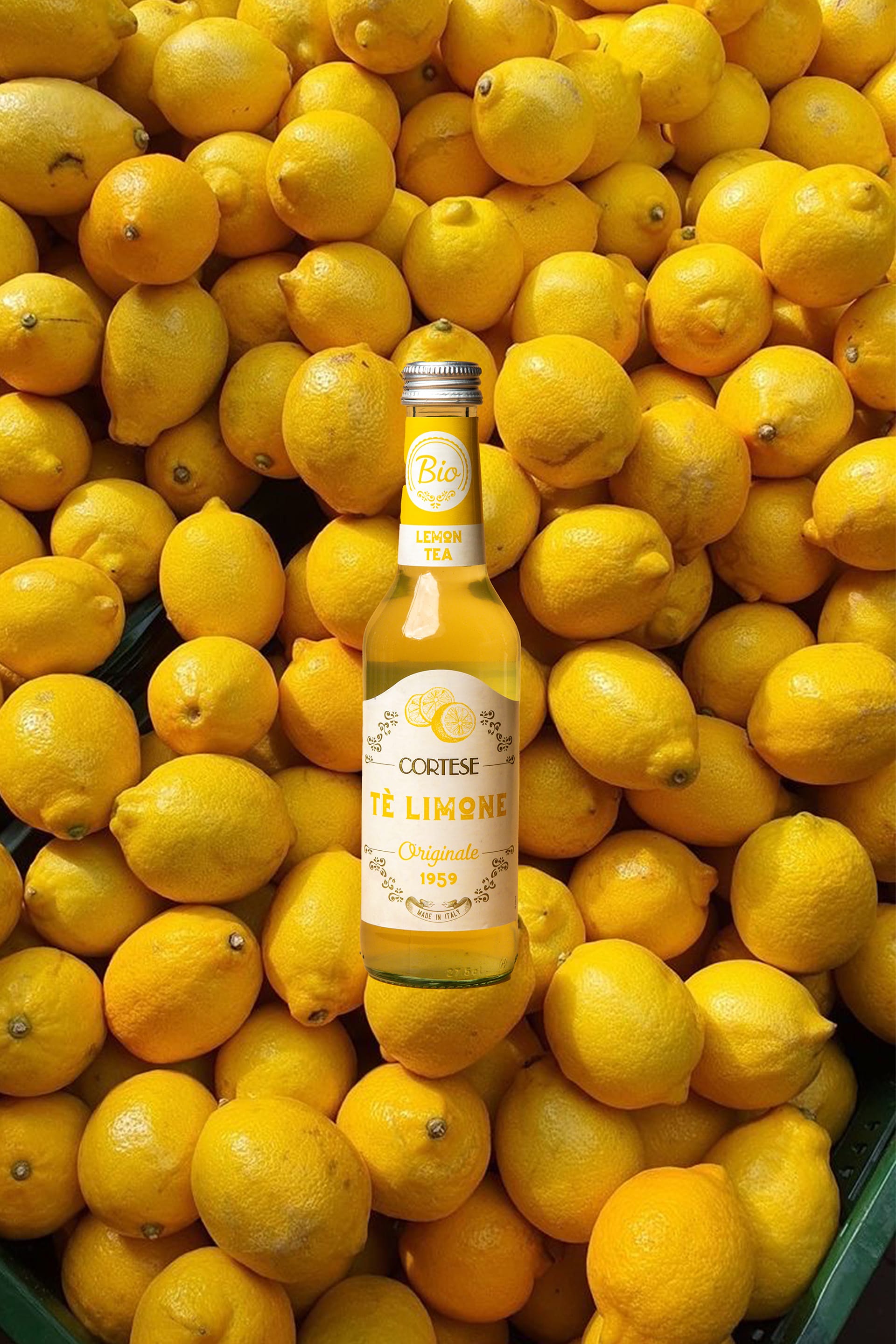 Italian Iced Tea – Organic & Refreshing | Zanga Imports